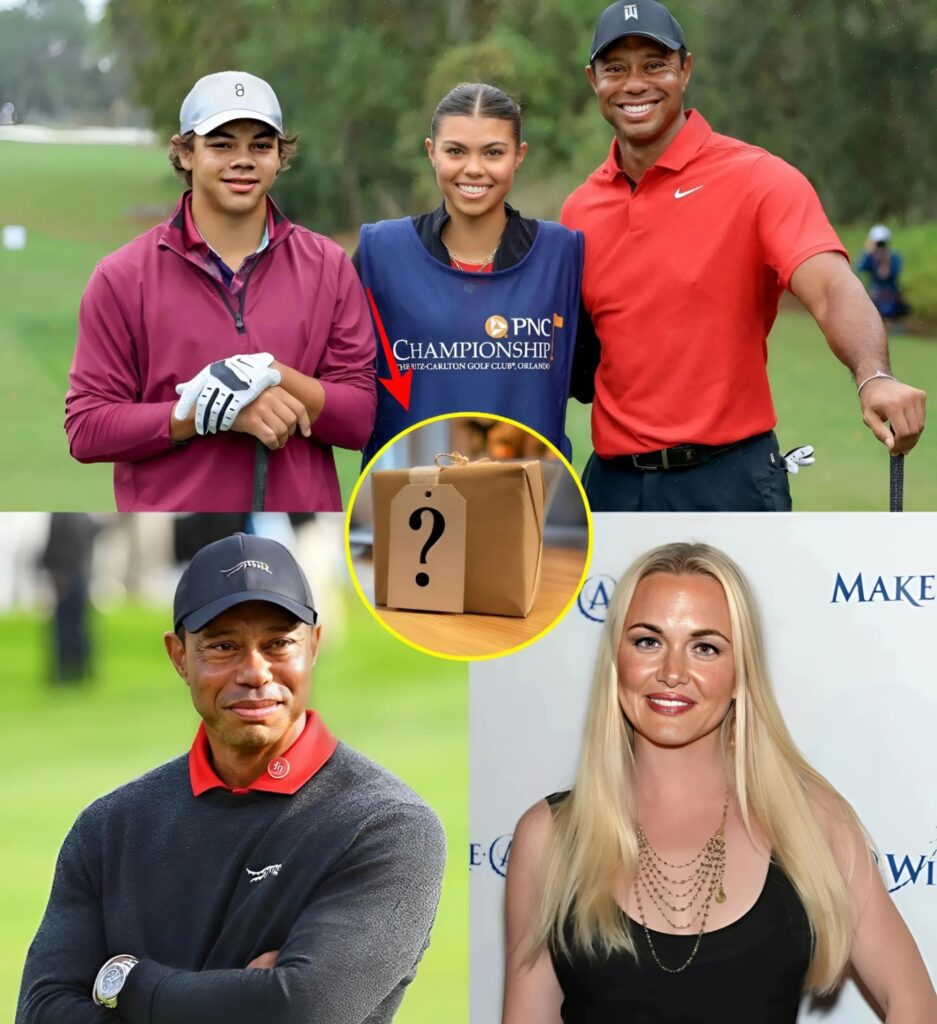 Charlie Woods and Sam Woods left fans surprised and frenzy when they ...