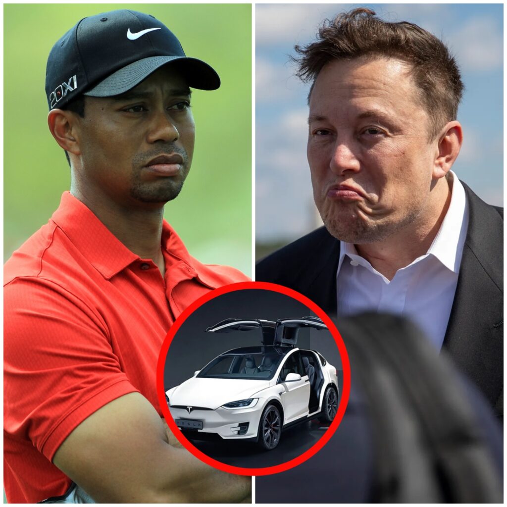 HOLY SHIT : Tiger Woods Rejects Elon Musk’s Tesla Ad Offer to Charlie ...